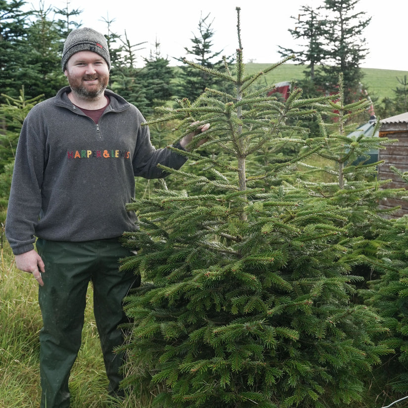 Finnegan Christmas Trees | Finnegan Christmas Trees